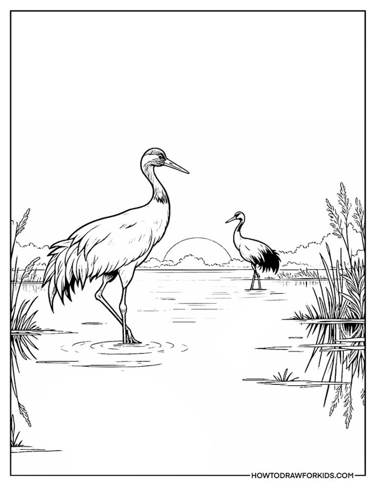 Crane Bird Coloring Pages - Free Printables