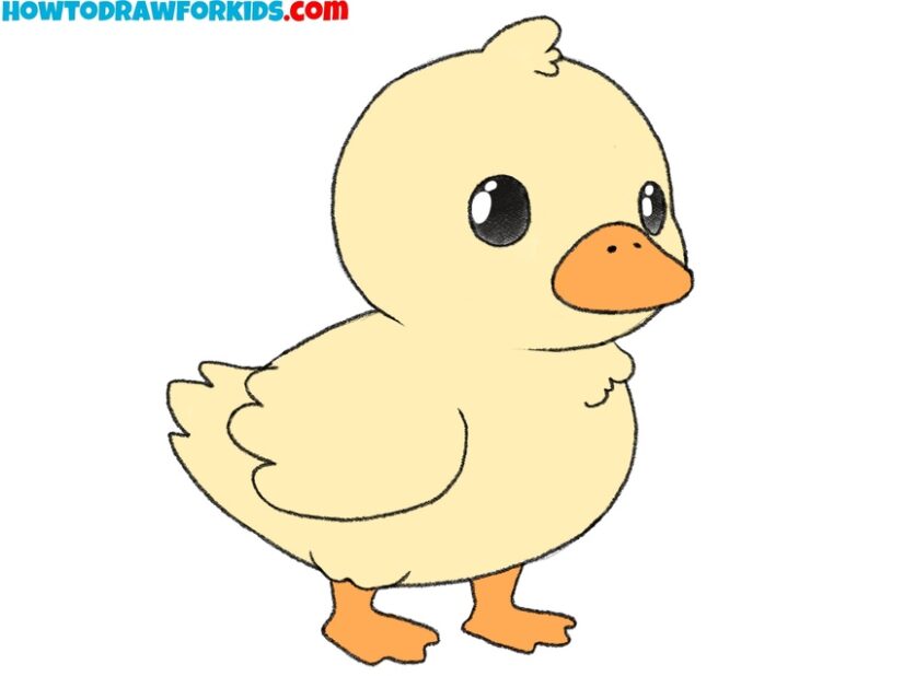 How to Draw a Duck - Easy Drawing Tutorial For Kids