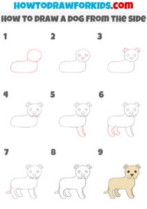 How to Draw a Standing Dog - Easy Drawing Tutorial For Kids
