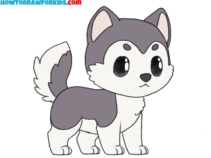 How to Draw a Husky - Easy Drawing Tutorial For Kids