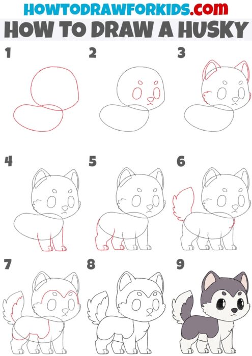 How to Draw a Husky - Easy Drawing Tutorial For Kids