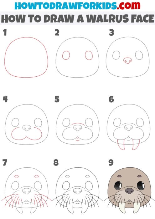 How to Draw a Walrus Face - Easy Drawing Tutorial