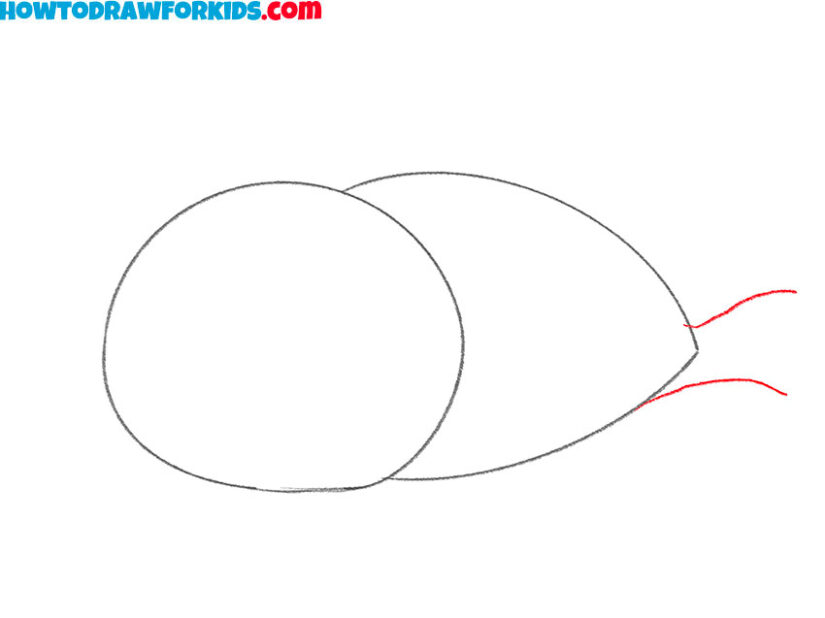 How to Draw a Seal - Easy Drawing Tutorial For Kids