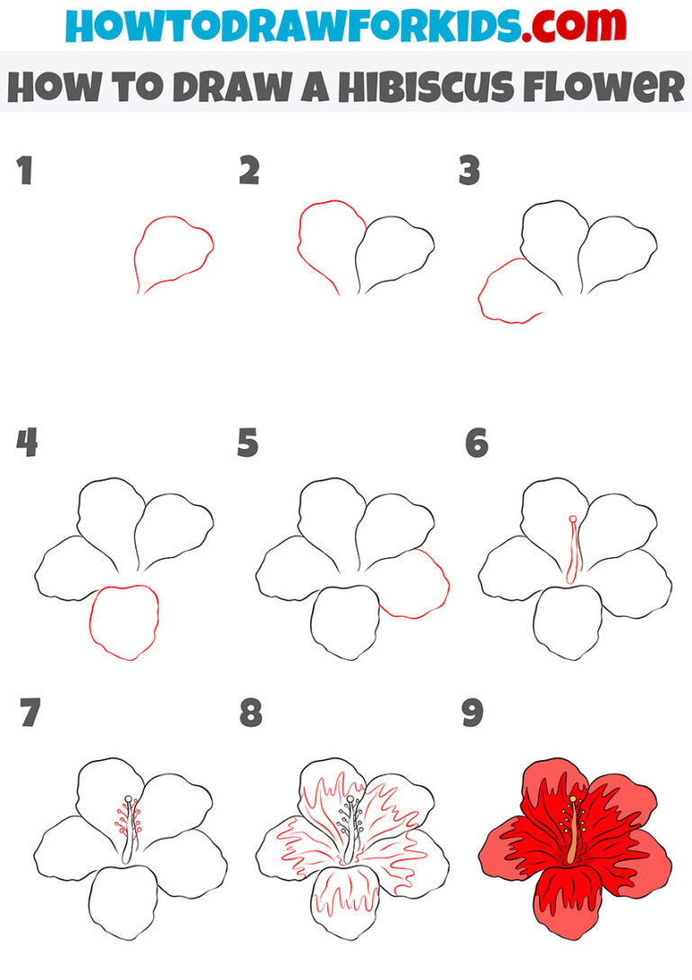 How to Draw a Hibiscus - Easy Drawing Tutorial For Kids
