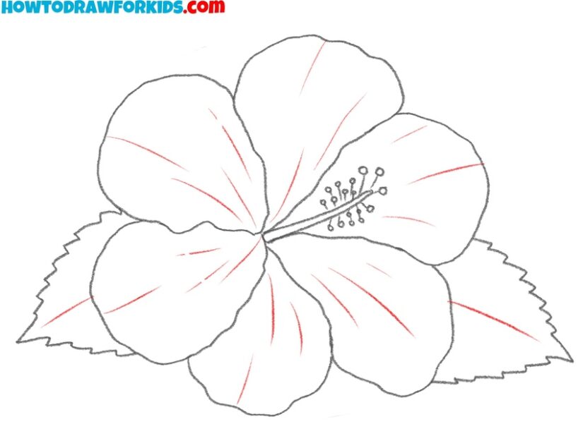 How to Draw a Hibiscus - Easy Drawing Tutorial For Kids
