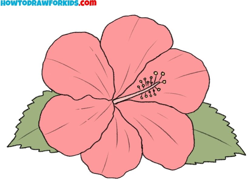 How to Draw a Hibiscus - Easy Drawing Tutorial For Kids