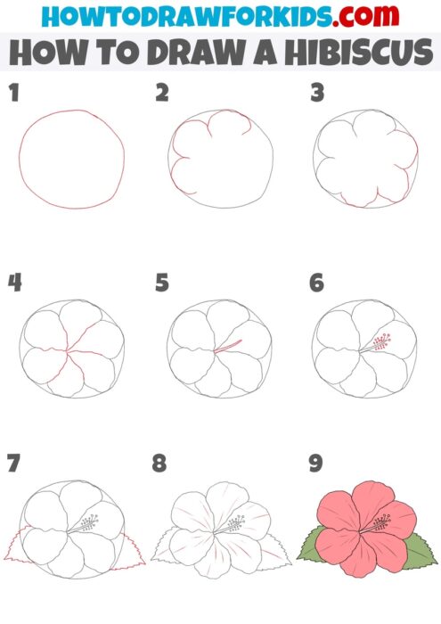How to Draw a Hibiscus - Easy Drawing Tutorial For Kids