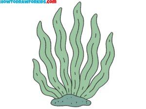 How to Draw Seaweed - Easy Drawing Tutorial For Kids