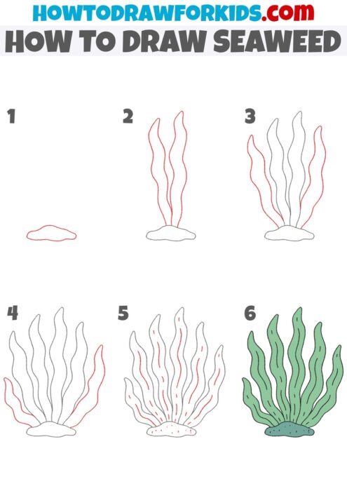 How to Draw Seaweed - Easy Drawing Tutorial For Kids