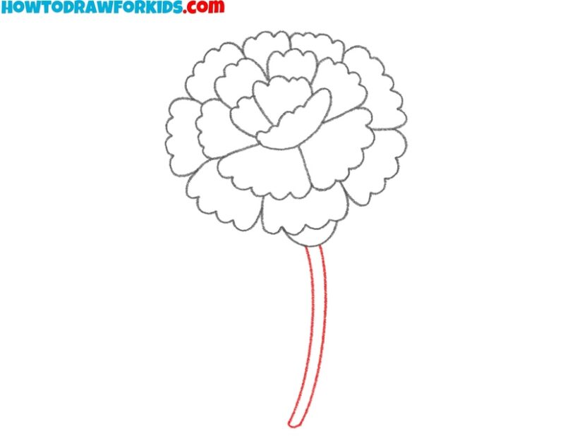 How to Draw a Carnation - Easy Drawing Tutorial For Kids