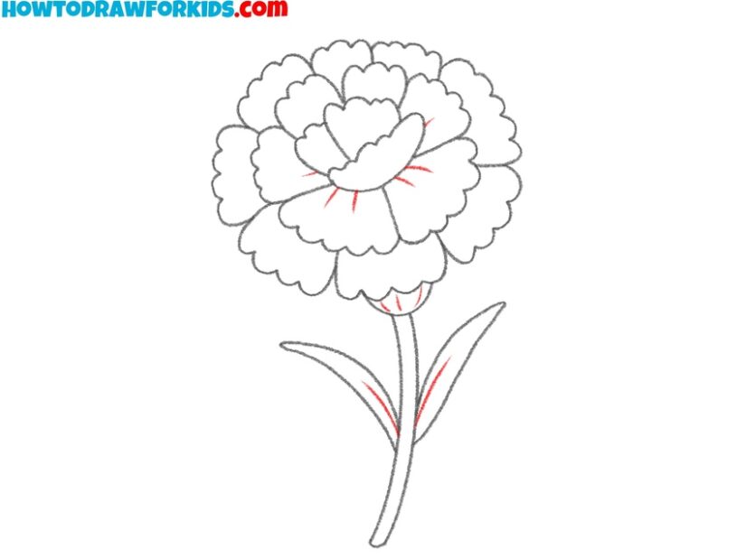 How to Draw a Carnation - Easy Drawing Tutorial For Kids