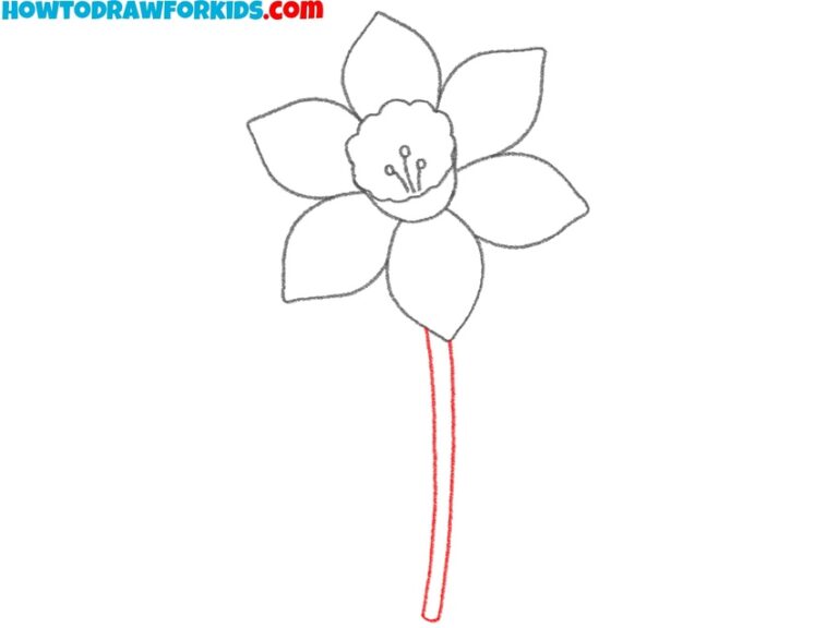 How to Draw a Daffodil - Easy Drawing Tutorial For Kids