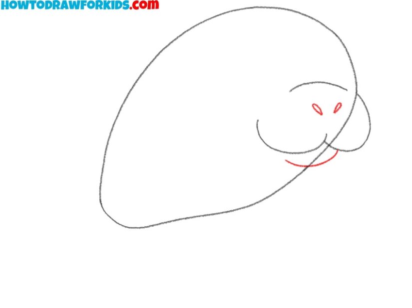 How to Draw a Manatee - Easy Drawing Tutorial For Kids