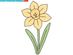 How to Draw a Daffodil - Easy Drawing Tutorial For Kids