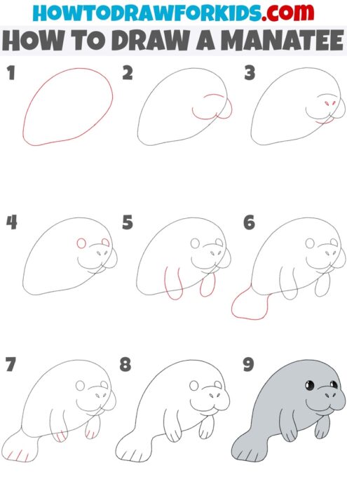How to Draw a Manatee - Easy Drawing Tutorial For Kids